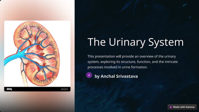 The-Urinary-System or Excretory system (1).pptx