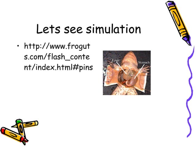 The Use Of Computer Simulation And Gaming To Ppt