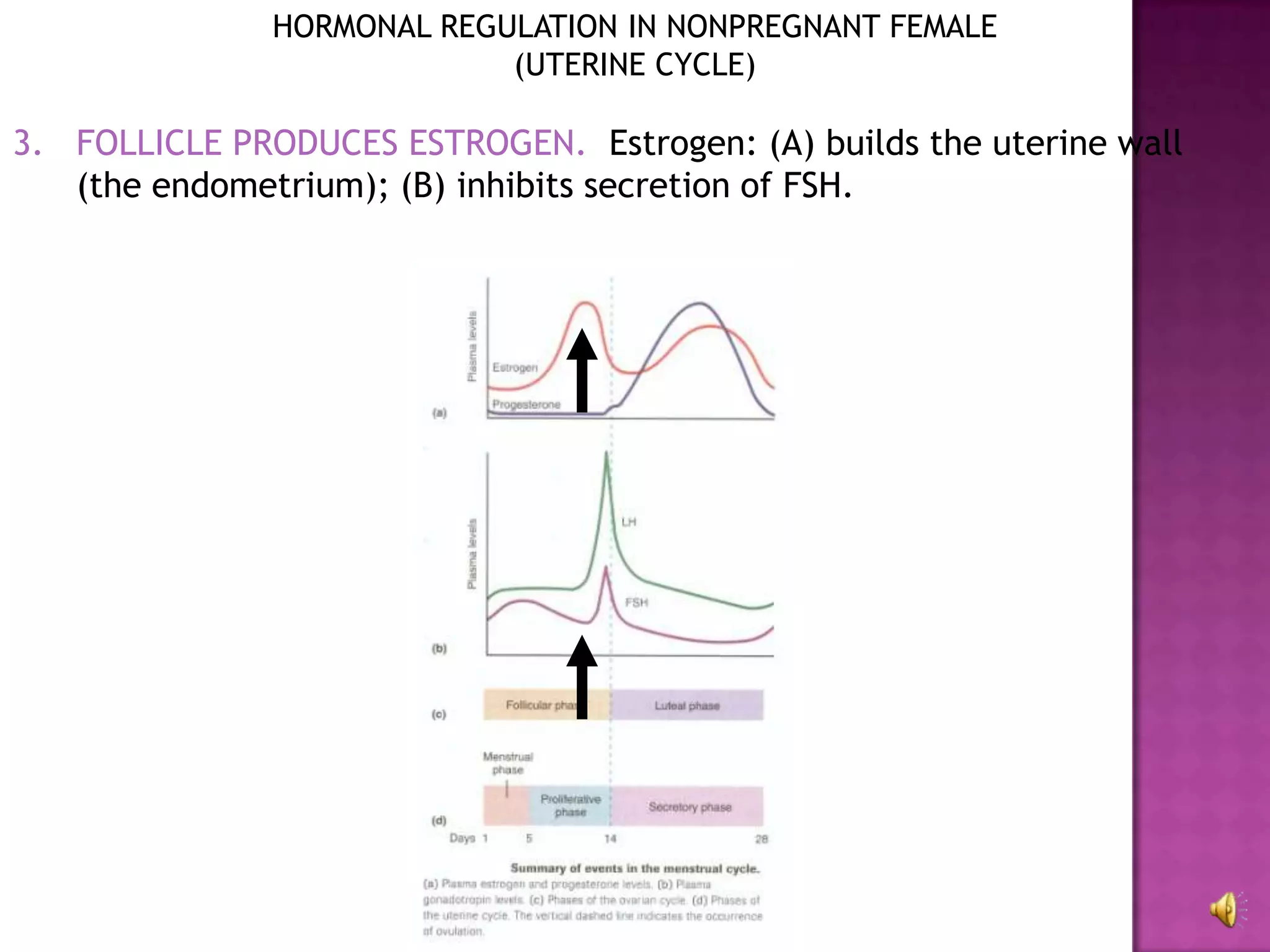 The Uterine ( Menstrual) Cycleaudio | PPTX