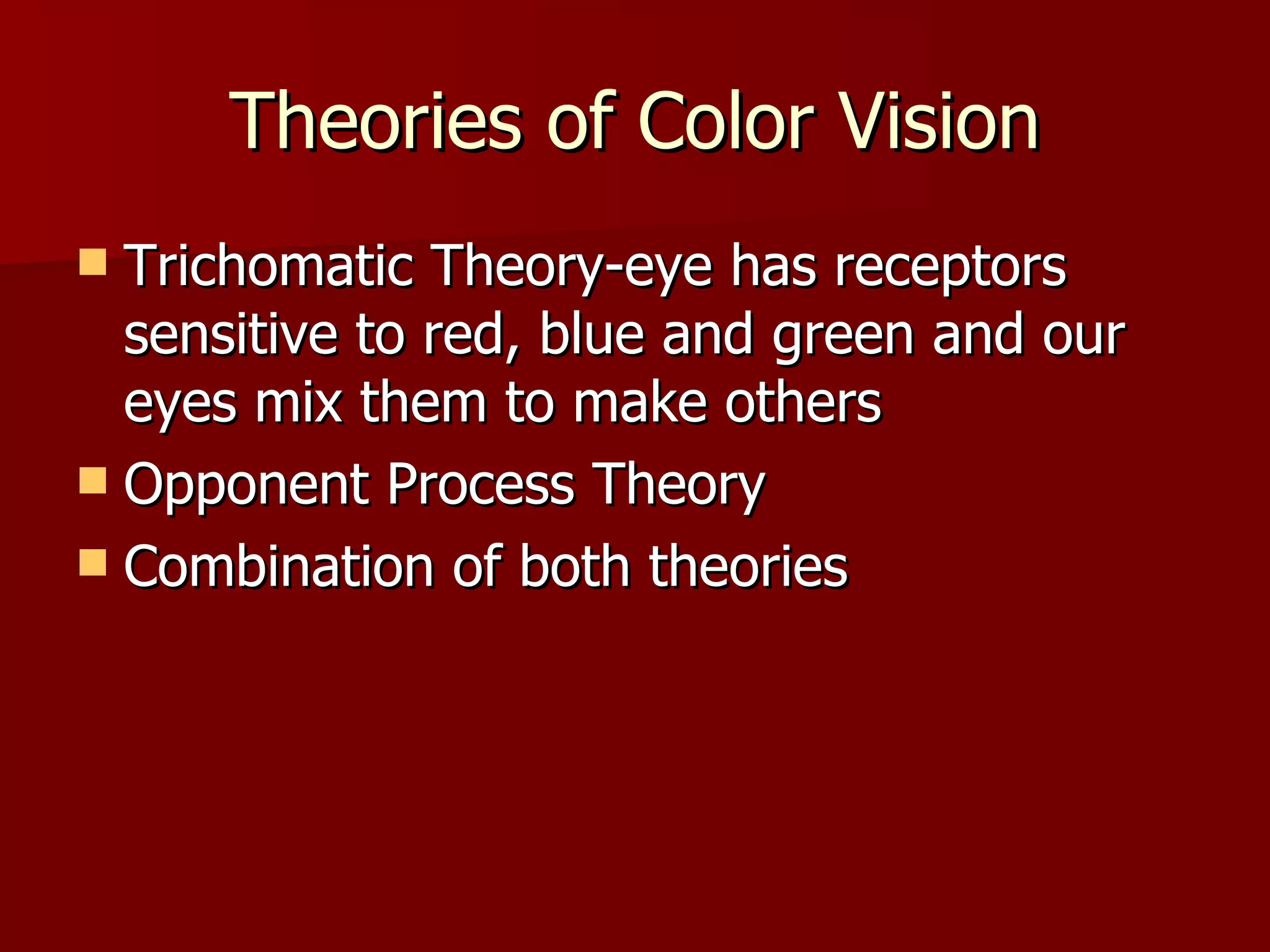The Visual System | PPT