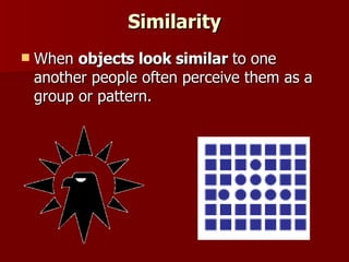 The Visual System | PPT