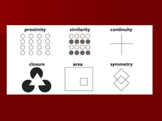 The Visual System | PPT
