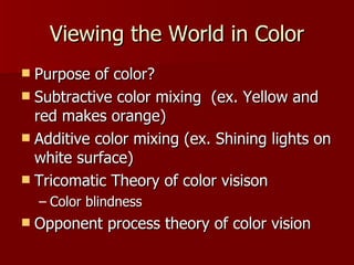 The Visual System | PPT