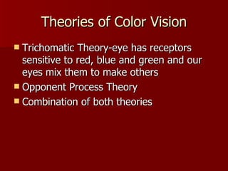 The Visual System | PPT