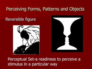 The Visual System | PPT