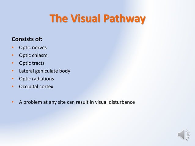 The Visual System | PPTX