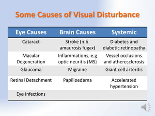 The Visual System | PPTX