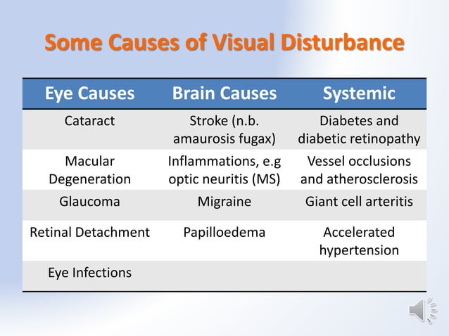 The Visual System | PPTX