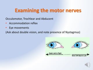 The Visual System | PPTX