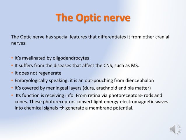 The Visual System | PPTX