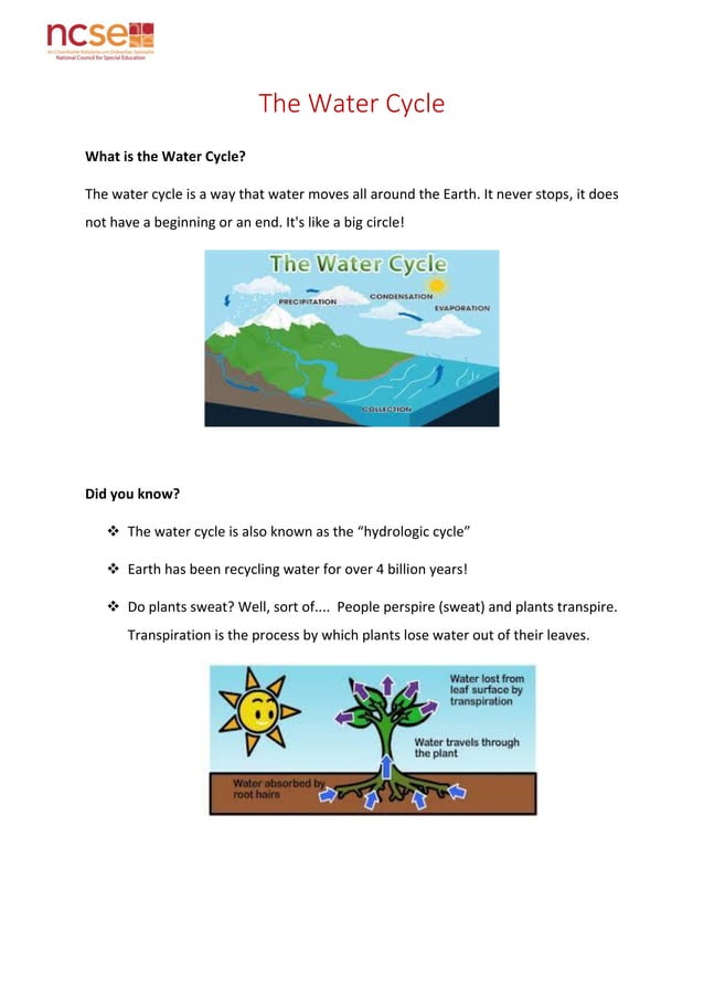 The-Water-Cycle.pdf, physical geography 2 | PDF
