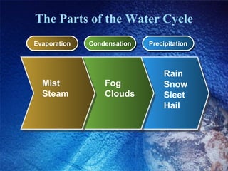 The Water Cycle and Weather | PPT