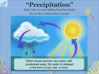 The-Water-Cycle-group4.ppt