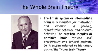 THE-WHOLE-BRAIN-THEORY.pdf