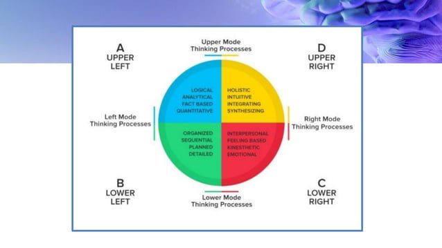 THE-WHOLE-BRAIN-THEORY.pdf | Brain and Nervous System Disorders ...