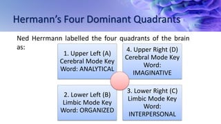 THE-WHOLE-BRAIN-THEORY.pdf | Brain and Nervous System Disorders ...