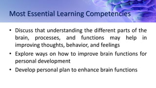 THE-WHOLE-BRAIN-THEORY.pdf