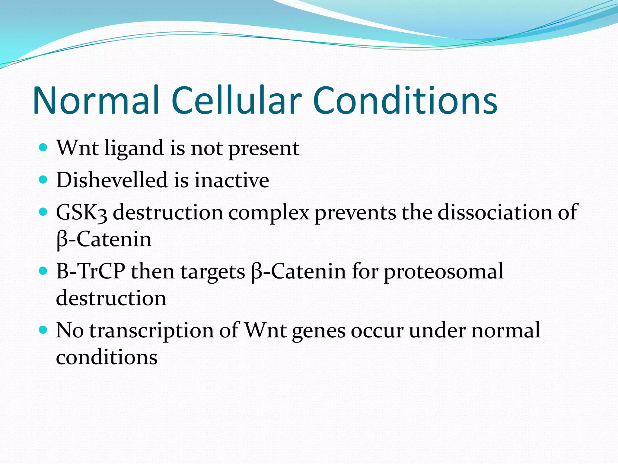 The Wnt Signaling Pathway (β Catenin ) | PPTX