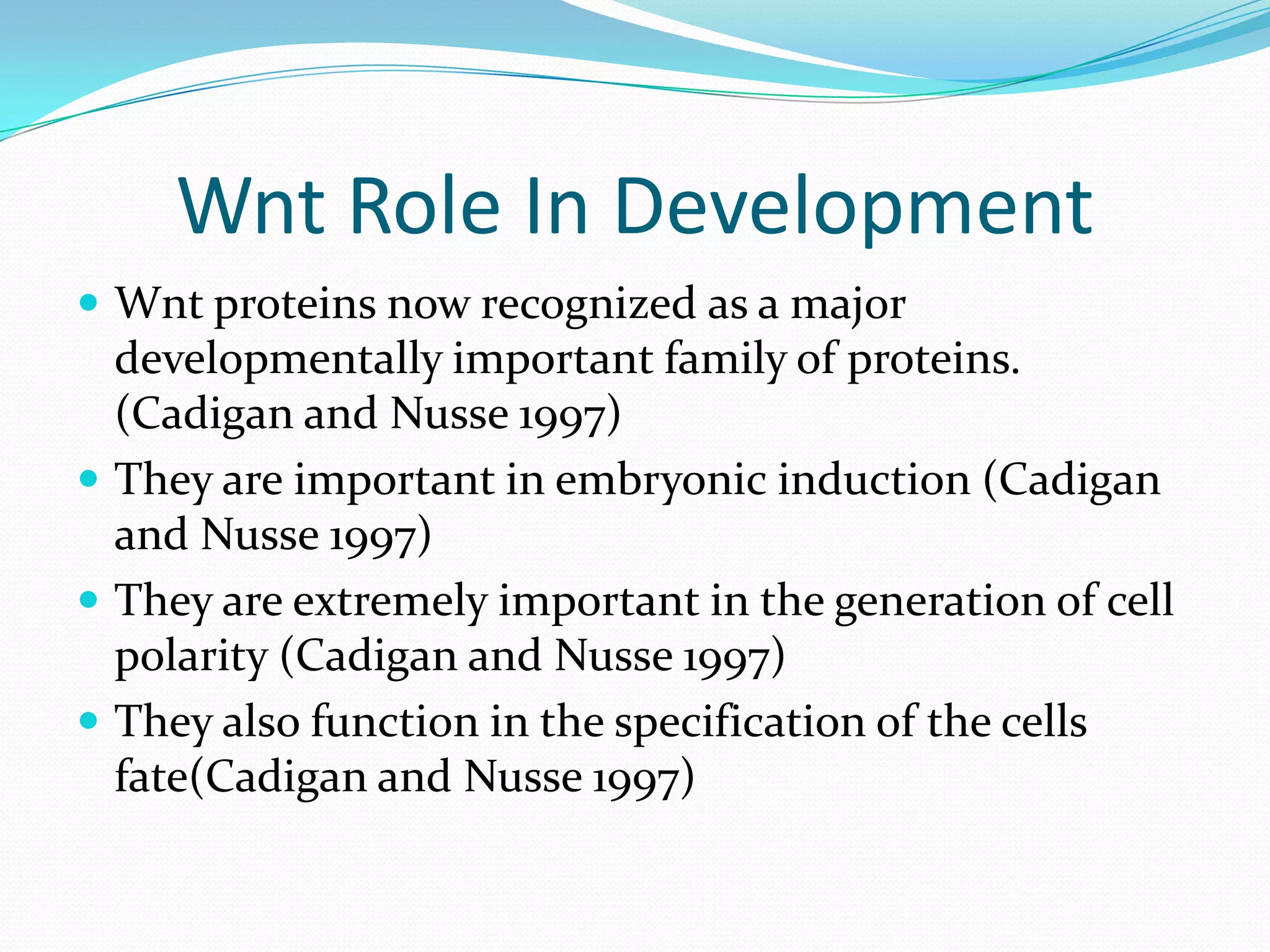 The Wnt Signaling Pathway (β Catenin ) | PPTX
