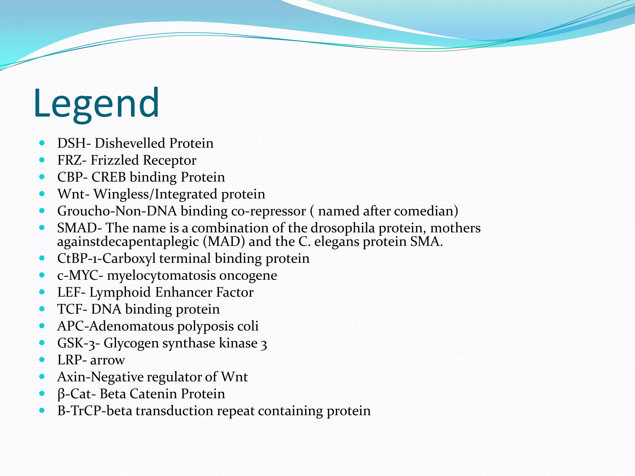 The Wnt Signaling Pathway (β Catenin ) | PPTX