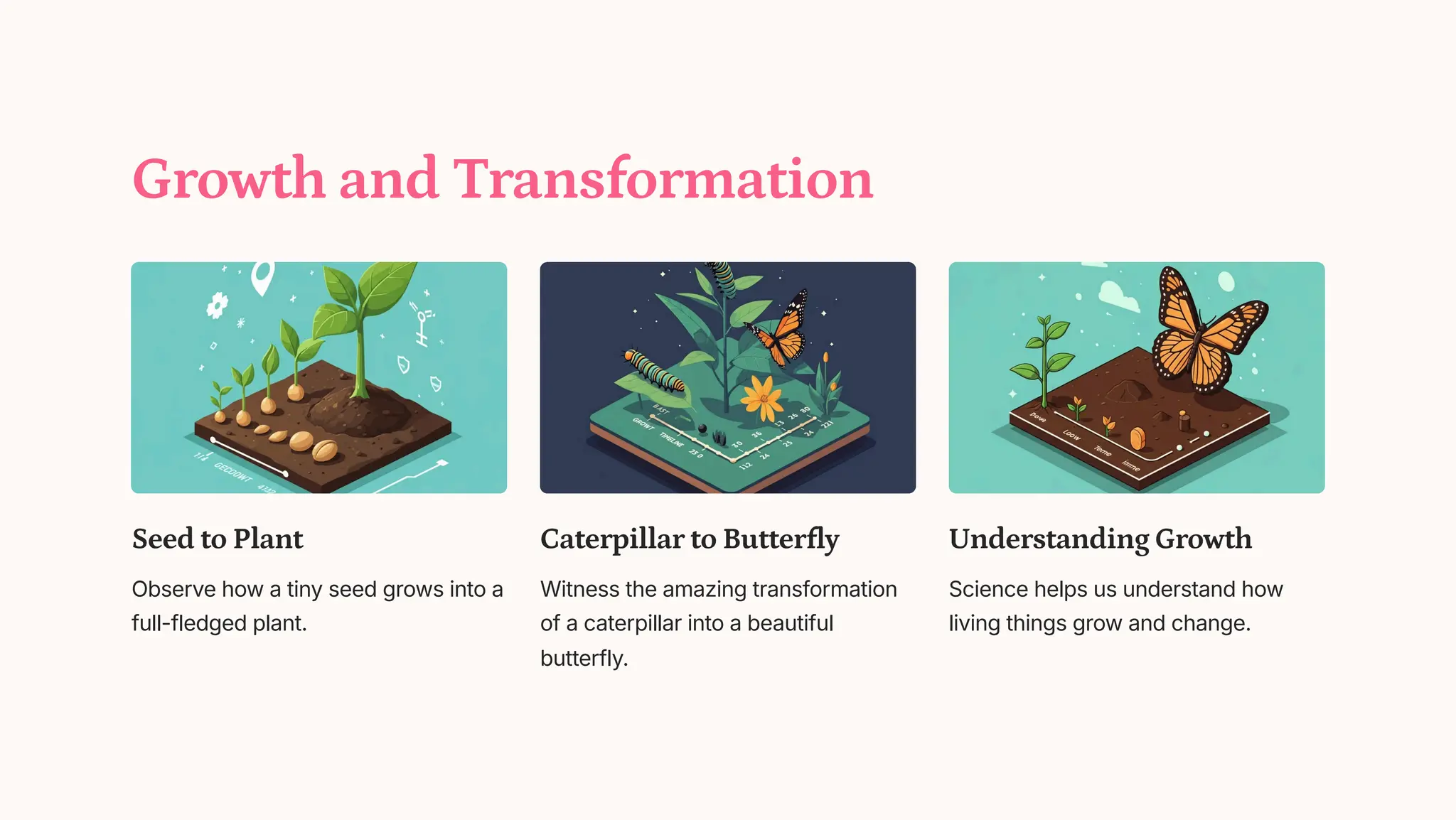 The-Wonderful-World-of-Science samyans academy 6th science curiosity | PDF