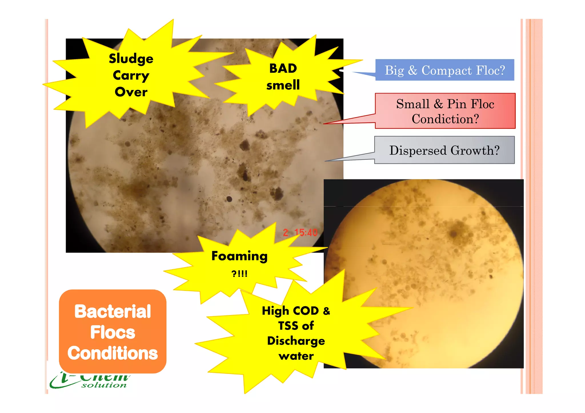 The world-of-activated-sludge | PDF