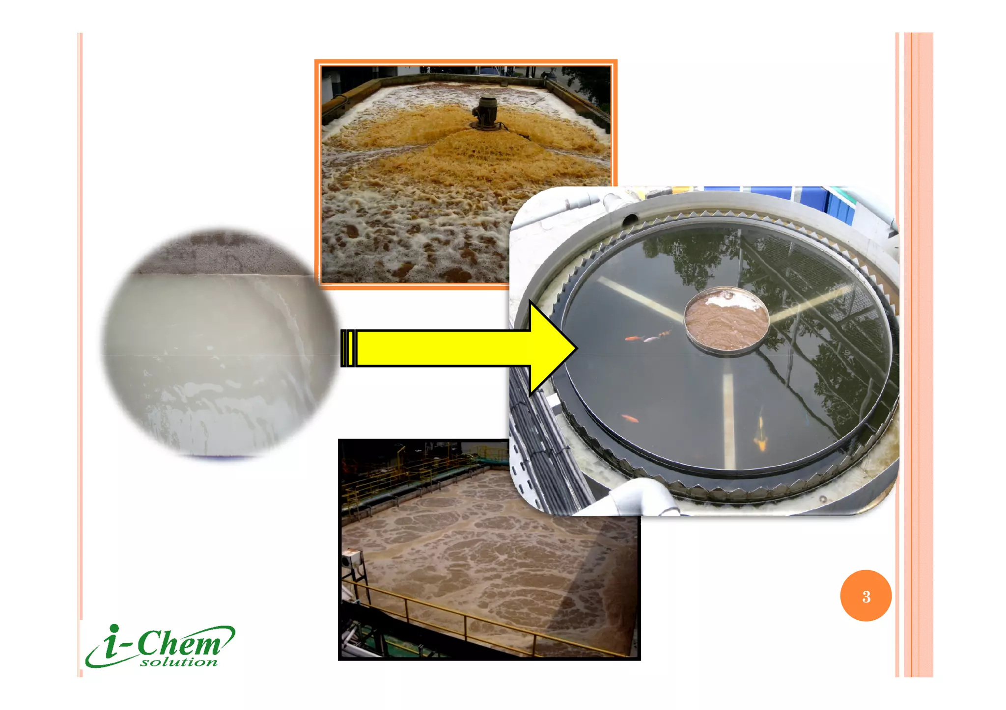 The world-of-activated-sludge | PDF