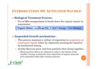 The world-of-activated-sludge | PDF | Biological Sciences | Science