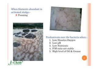 The world-of-activated-sludge | PDF | Biological Sciences | Science