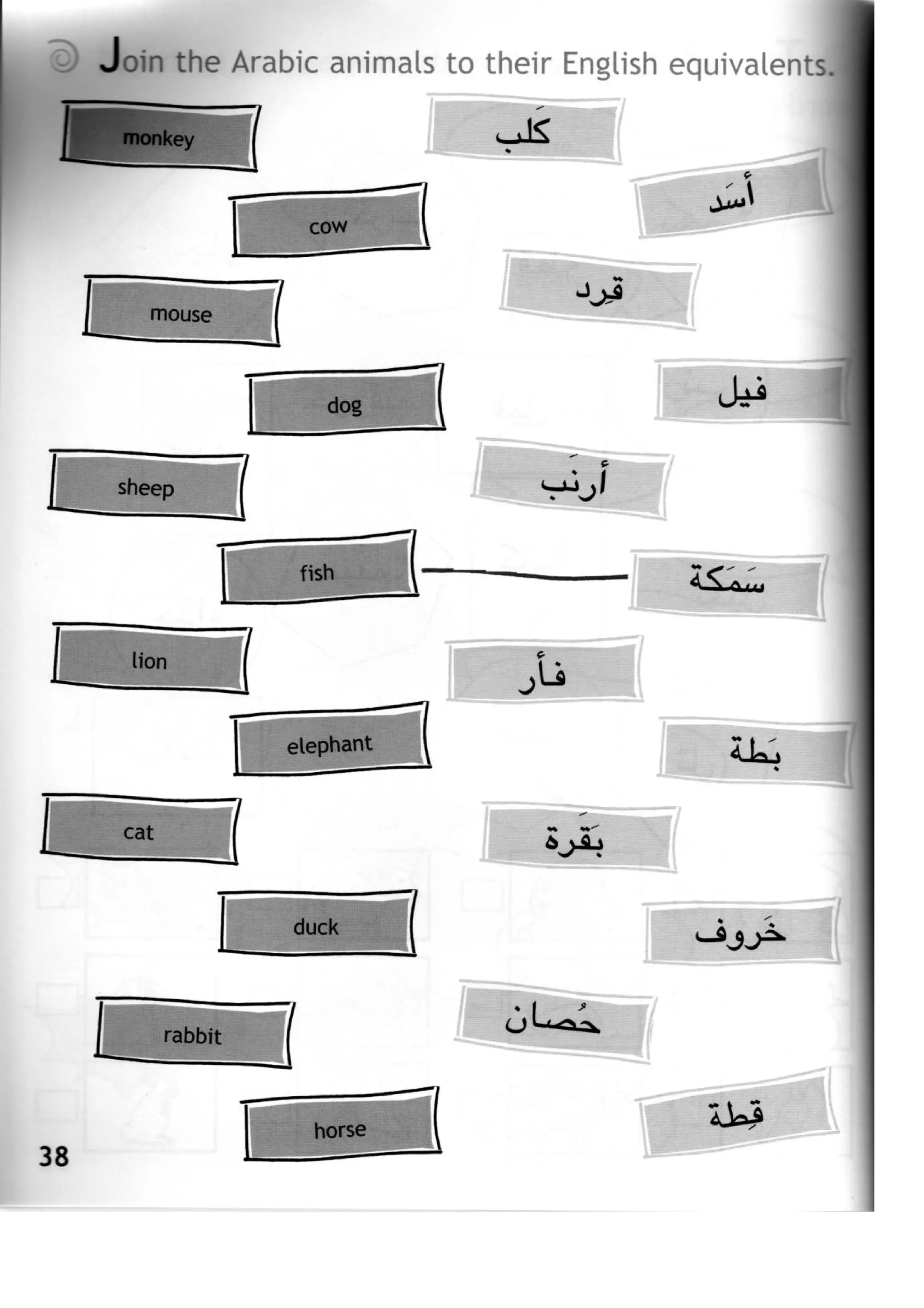 The 100 word exercise book arabic | PDF