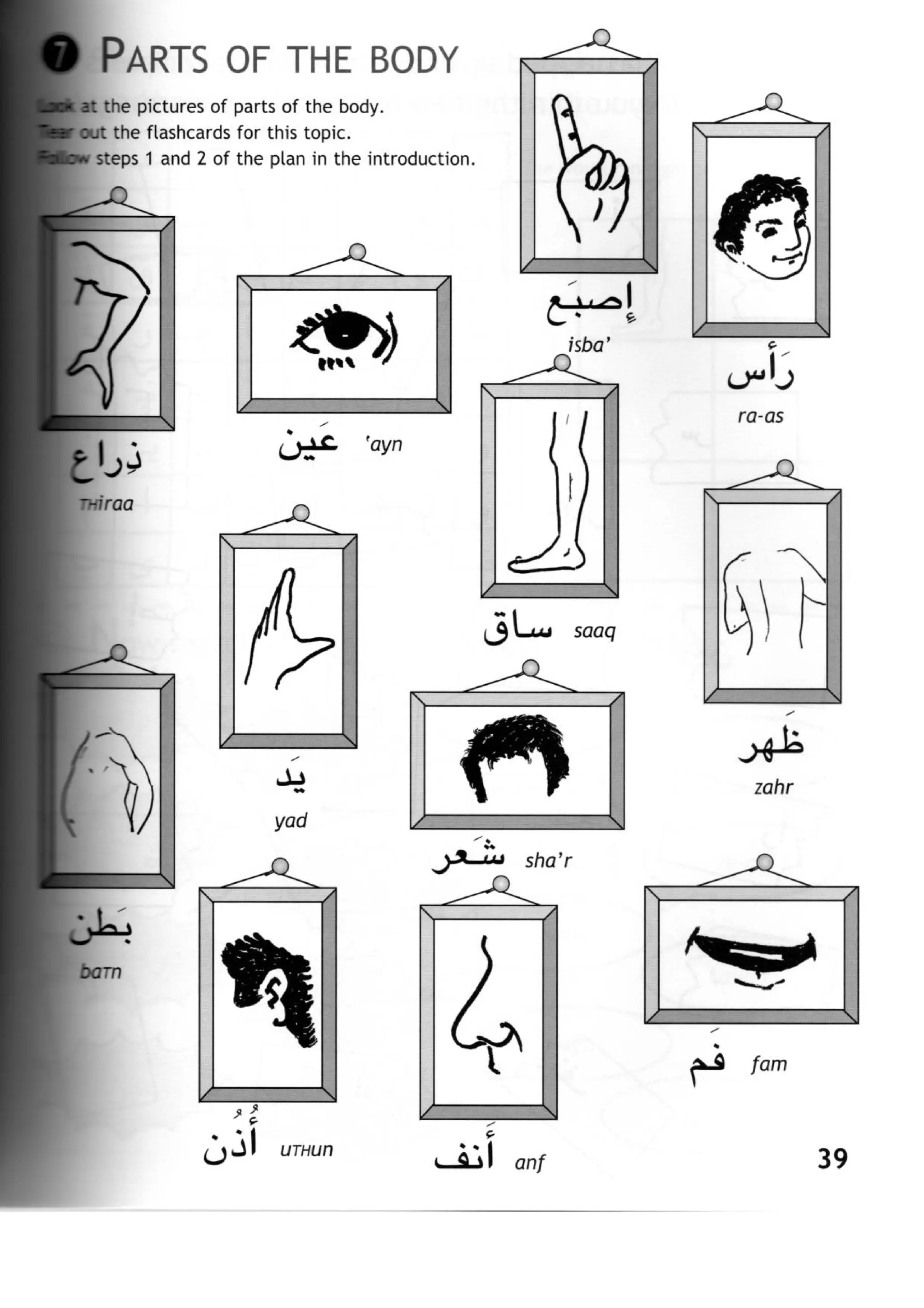 The 100 word exercise book arabic | PDF