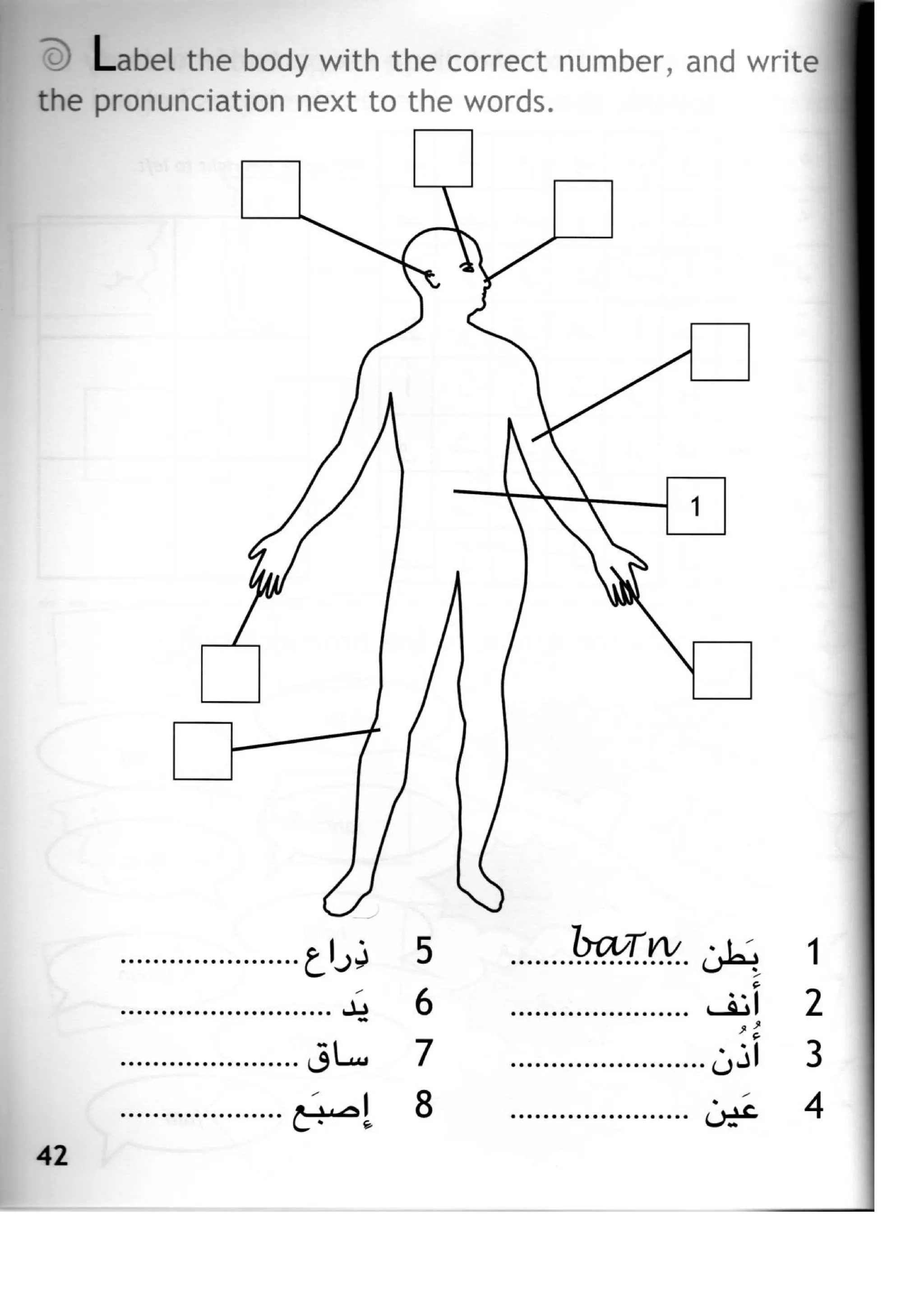 The 100 word exercise book arabic | PDF