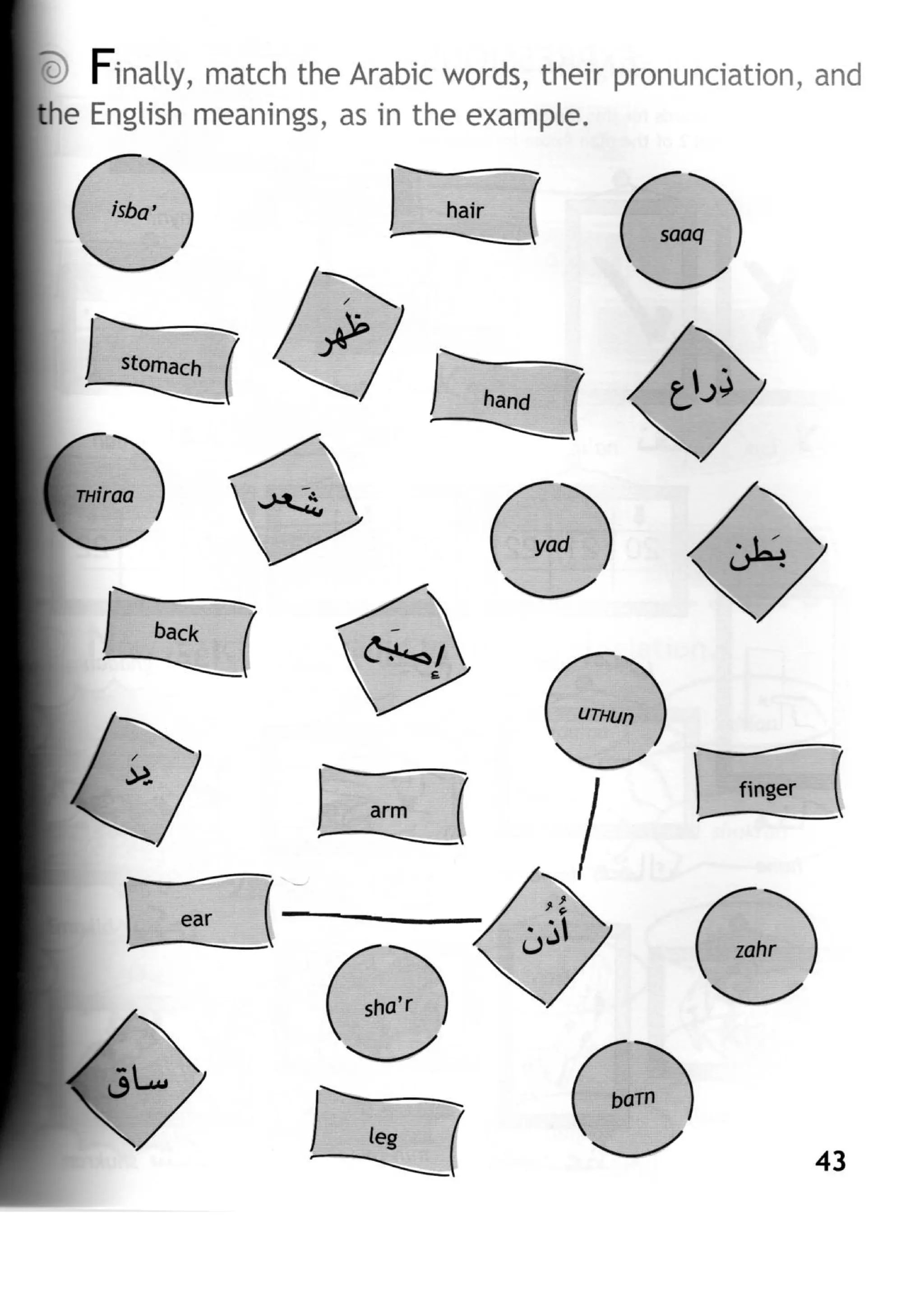 The 100 word exercise book arabic | PDF
