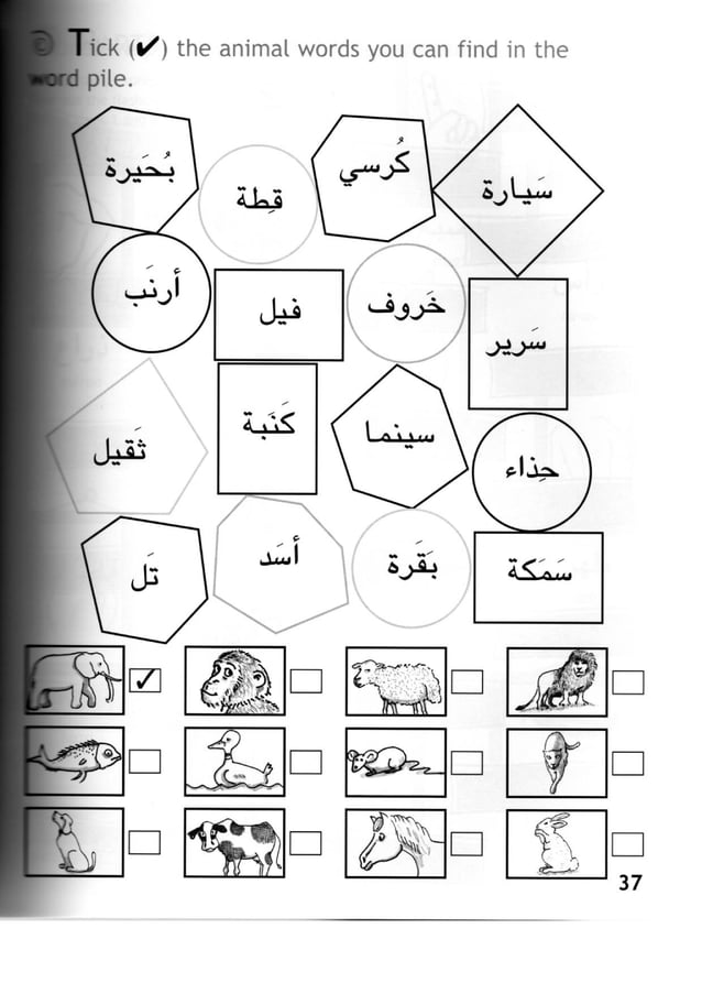 The 100 word exercise book arabic | PDF