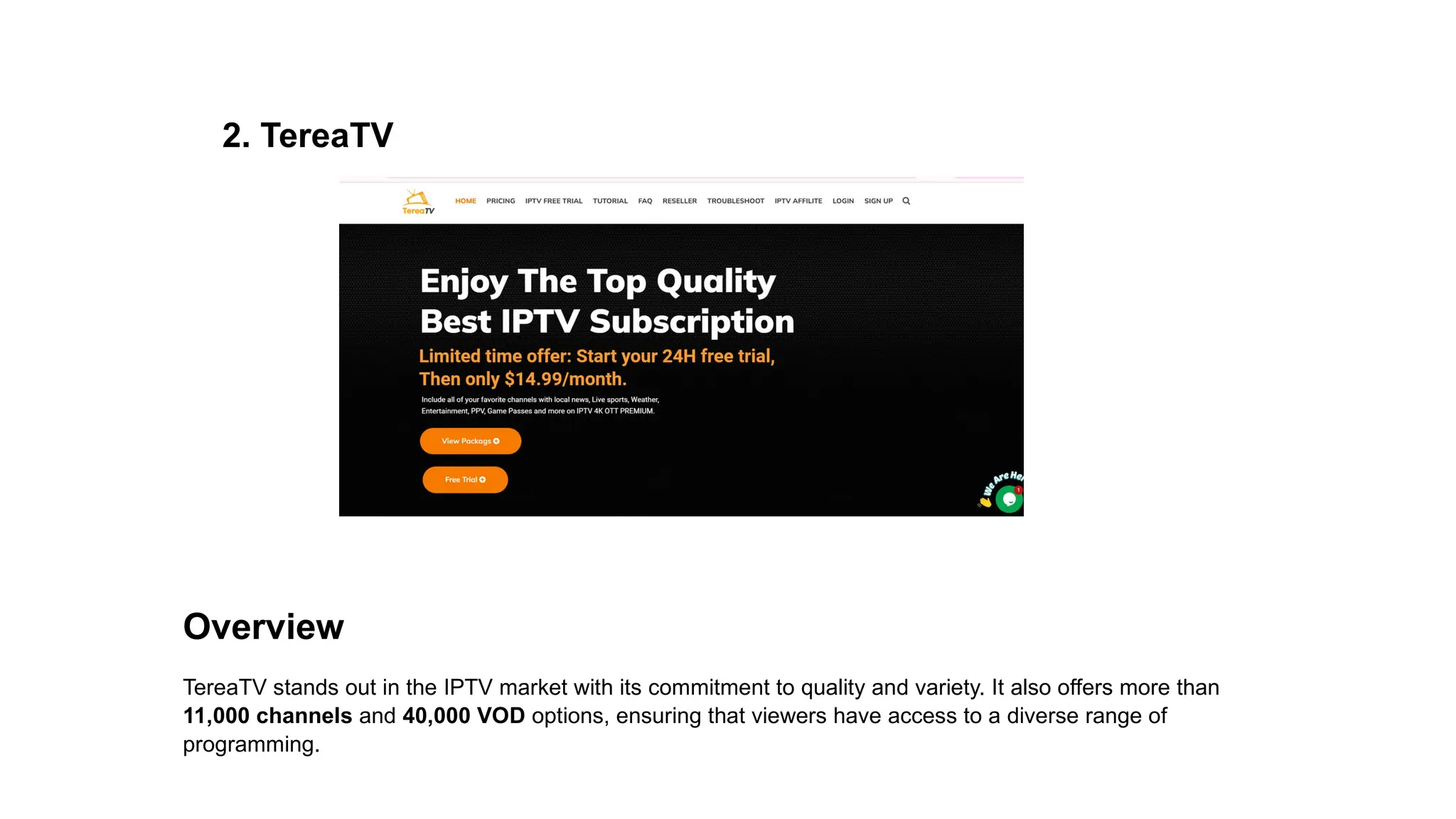 Top IPTV Service Providers in the USA for 2024: Freegotv and TereaTV | PPTX