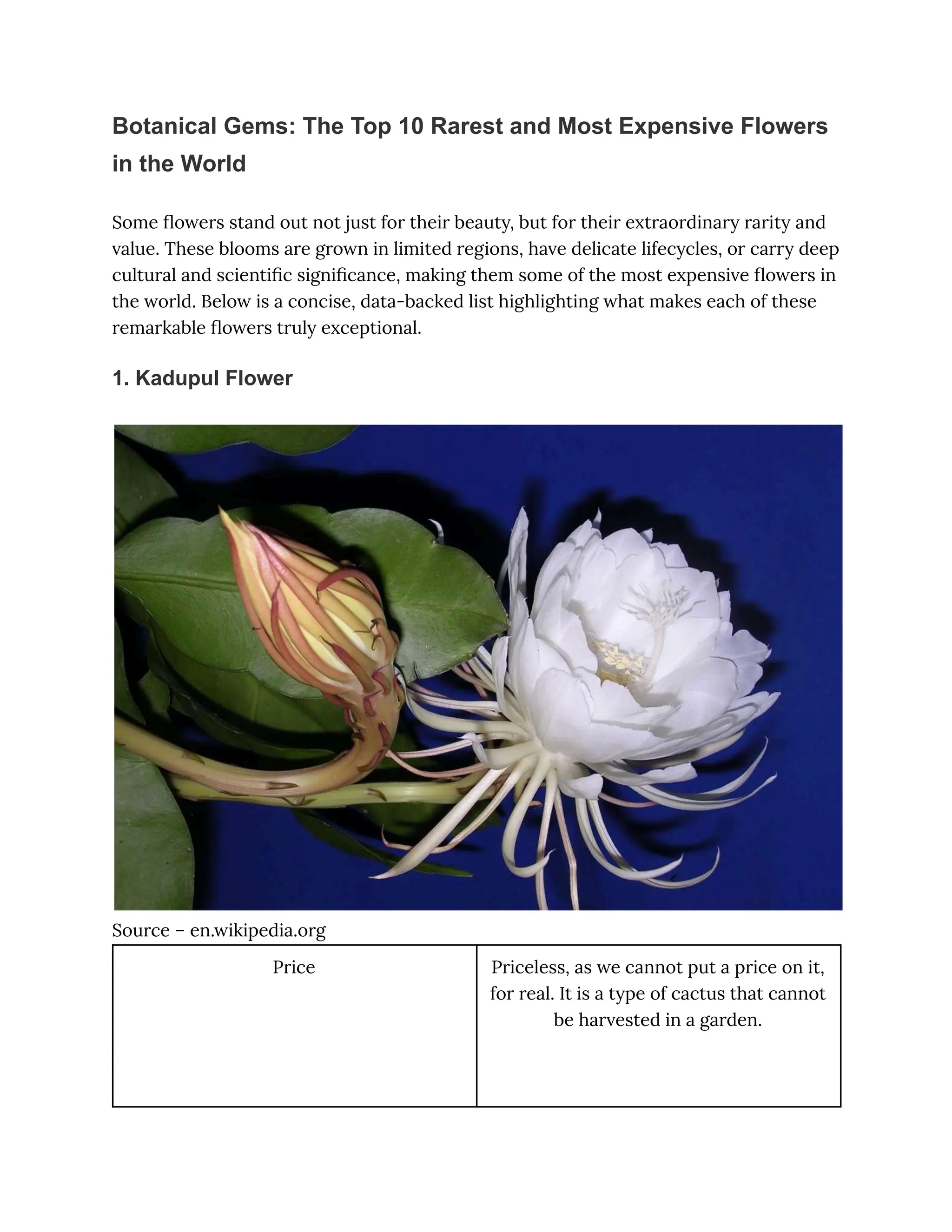 The 10 Most Expensive Flowers in the World, And Why They Cost More Than ...