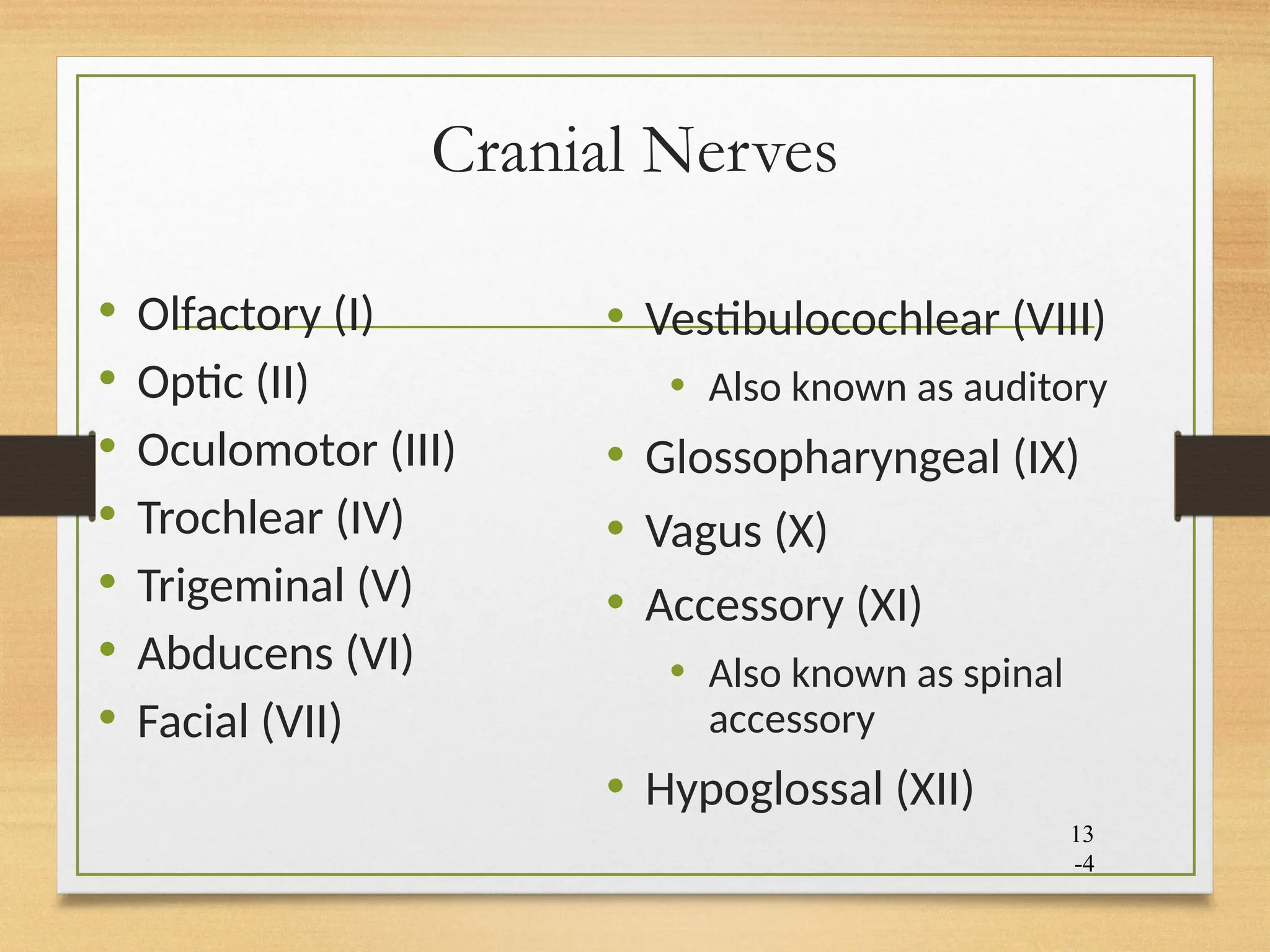 The 12 cranial nerves in the human brain | PPTX