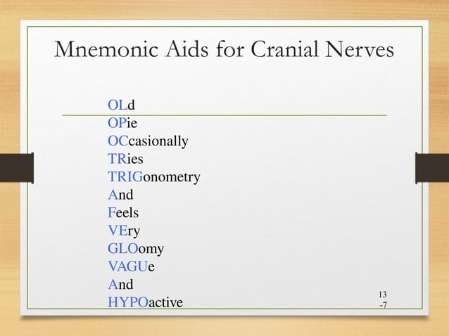 The 12 cranial nerves in the human brain | PPTX | Brain and Nervous ...