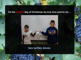The 12 days of christmas | PPT | Birds | Pets