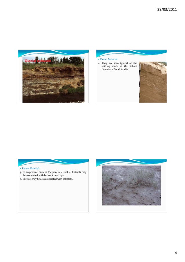 The 12 soil orders | PDF