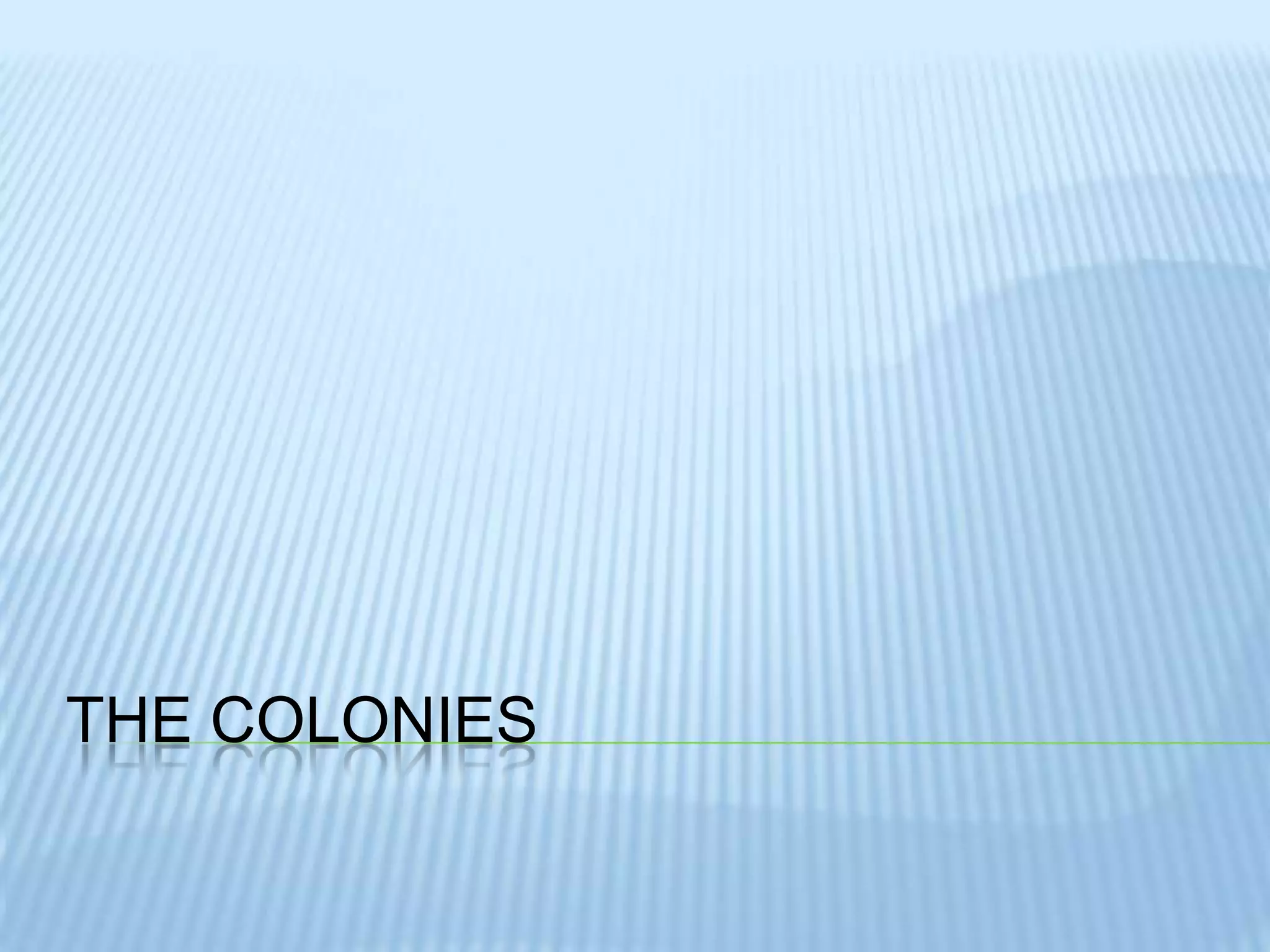The 13 colonies | PPTX