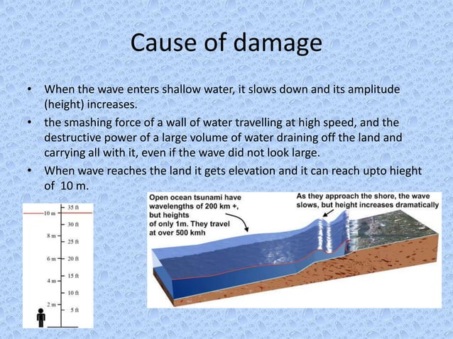 The 2004 indian ocean tsunami | PPTX | Geology | Science