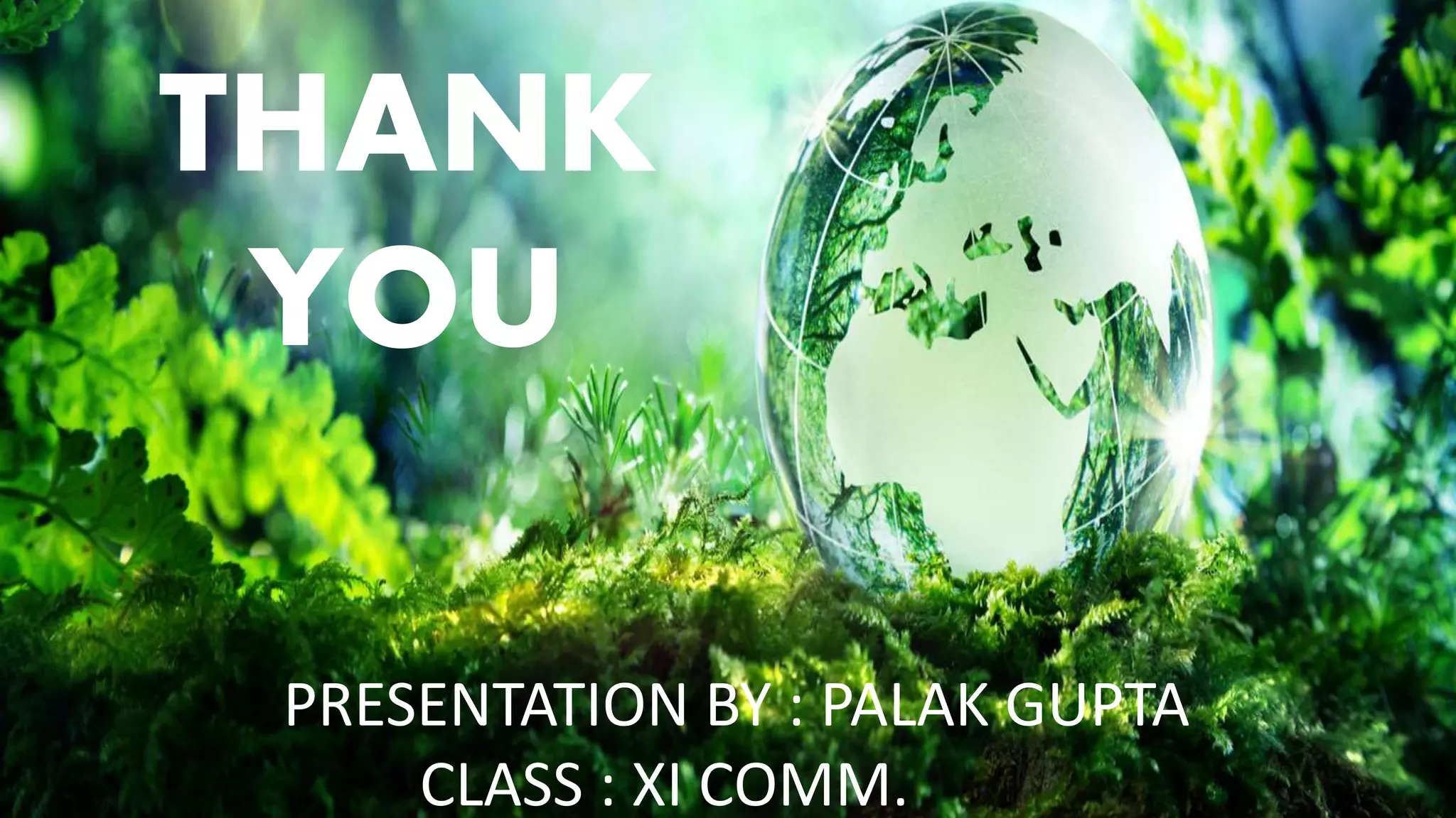 The Ailing Planet | PPTX