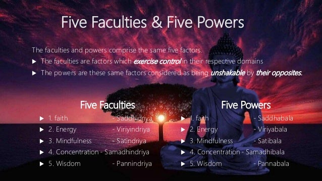 The 37 factors of enlightenment