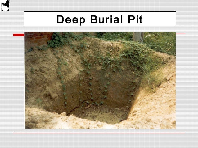 The 3 r's of waste management my student (raghav duggal)