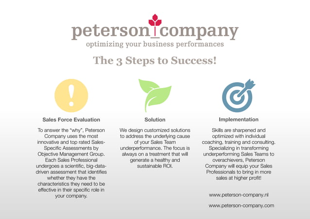 The 3 steps to success | PPT