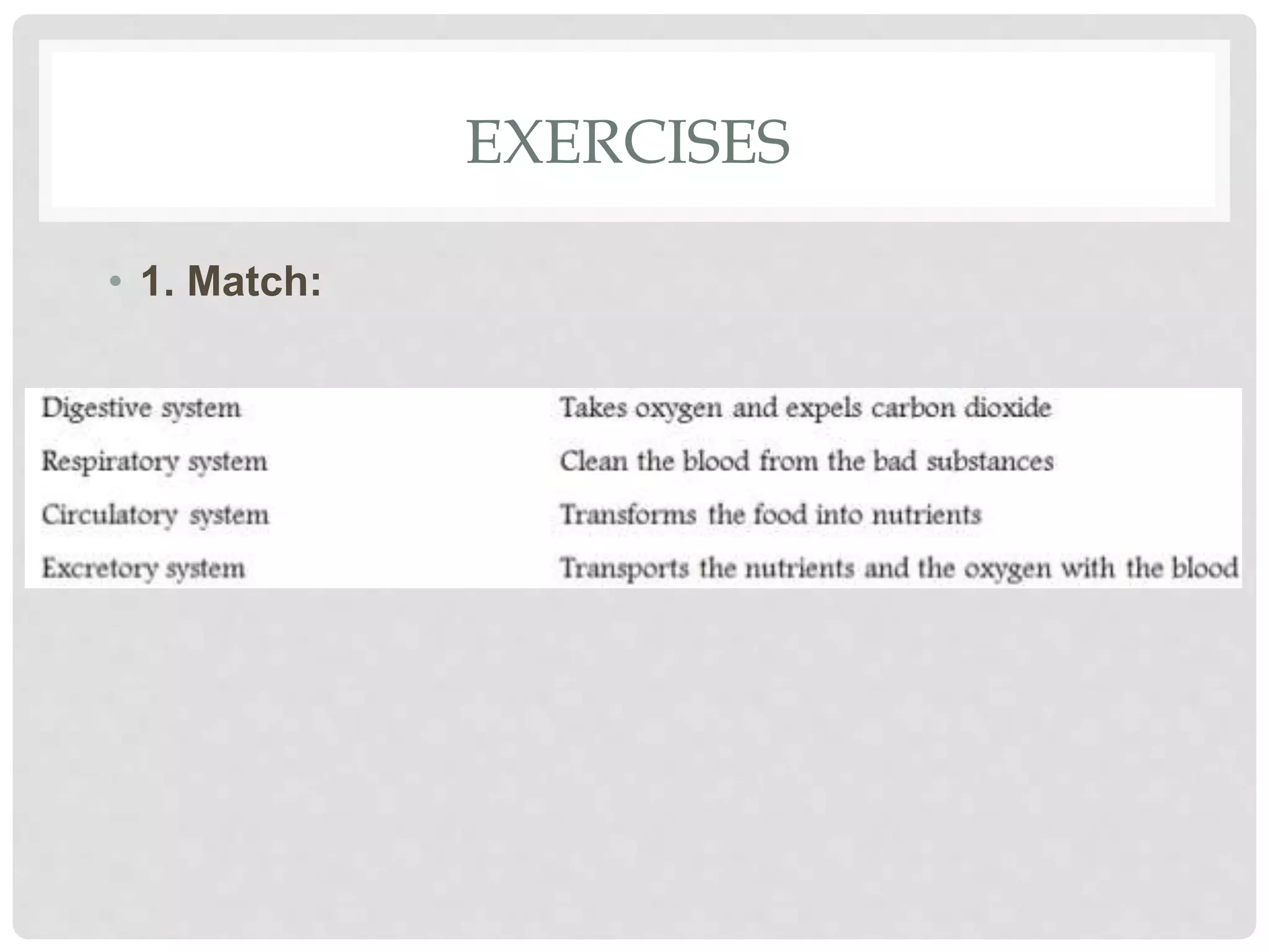 The 3 vital functions and the body | PPT