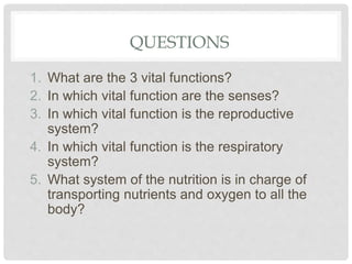 The 3 vital functions and the body | PPT