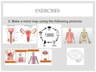 The 3 vital functions and the body | PPT