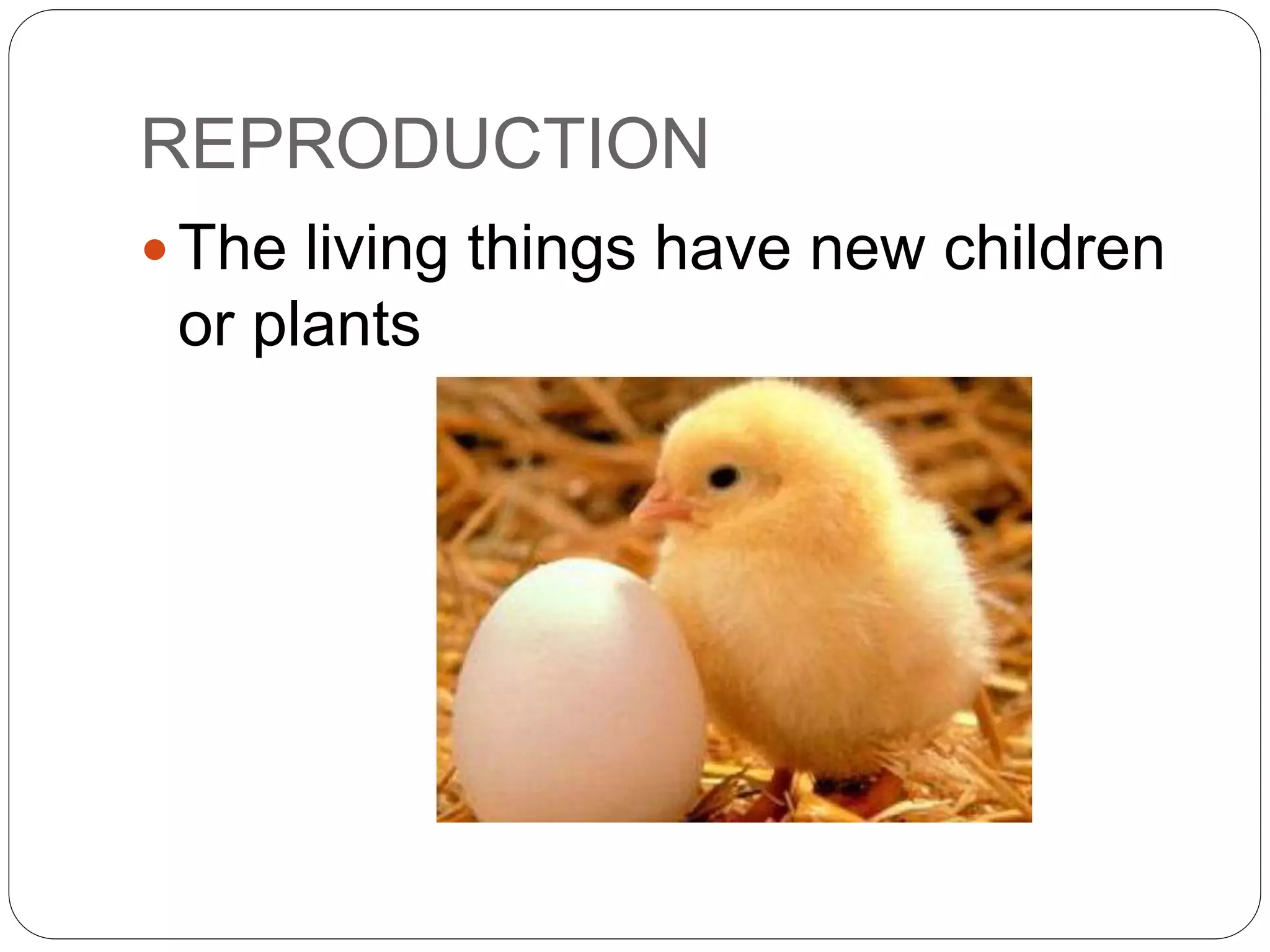 The 3 vital functions and the cells 6th primary | PPT